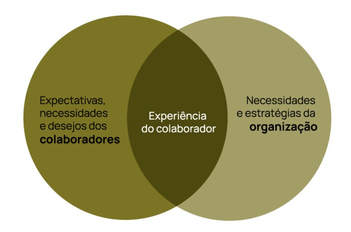 Experiência do Colaborador pode trazer vantagens competitivas às ...